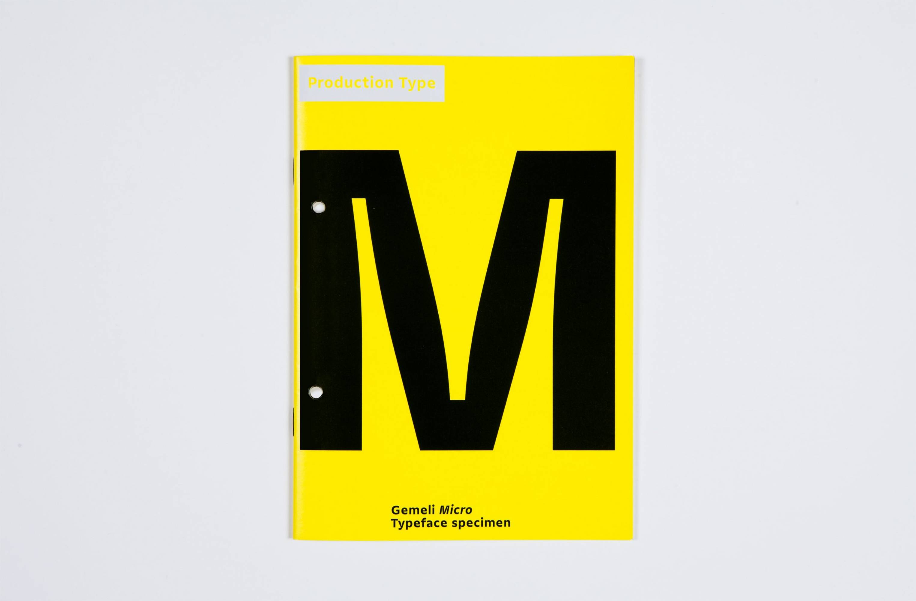 Julien Lelièvre — Gemeli Micro Type Specimen